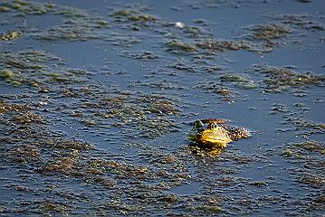 Nahant Marsh Education Center